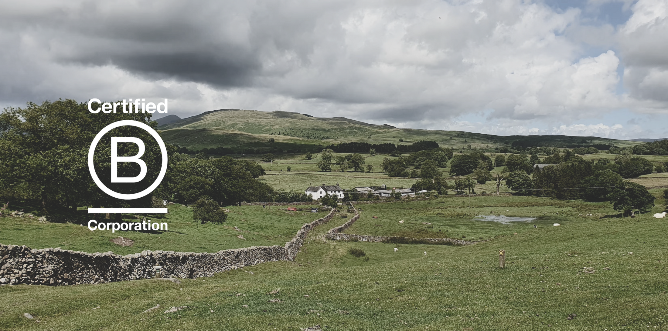 Quality Online Butchers | Regenerative Meat – The Ethical Butcher